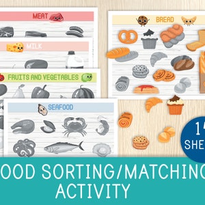 Food Sorting and Matching Activity, Preschool and Kindergarten Activity ...