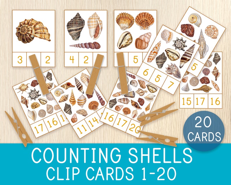 Counting Shells Clip Cards Numbers 1-20 Sea - Etsy