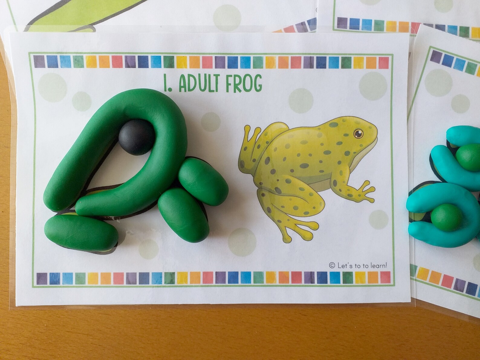 Frog Life Cycle Playdough Mats Play Doh Activity Preschool - Etsy