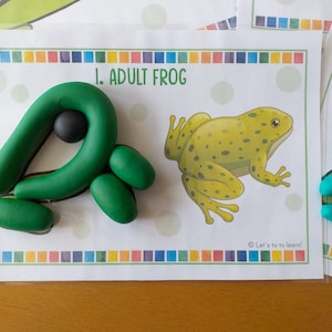 Frog Life Cycle Playdough Mats, Play Doh Activity, Preschool Game, Pre ...