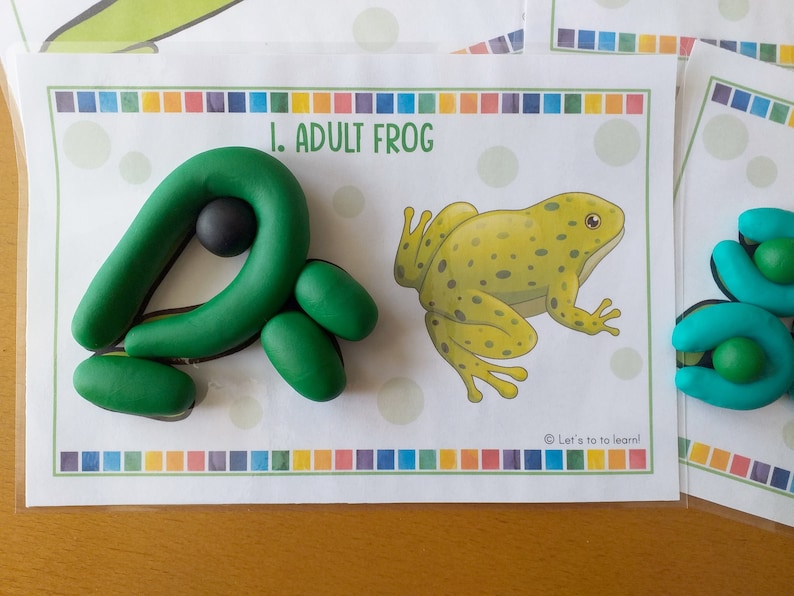 Frog Life Cycle Playdough Mats Play Doh Activity Preschool - Etsy