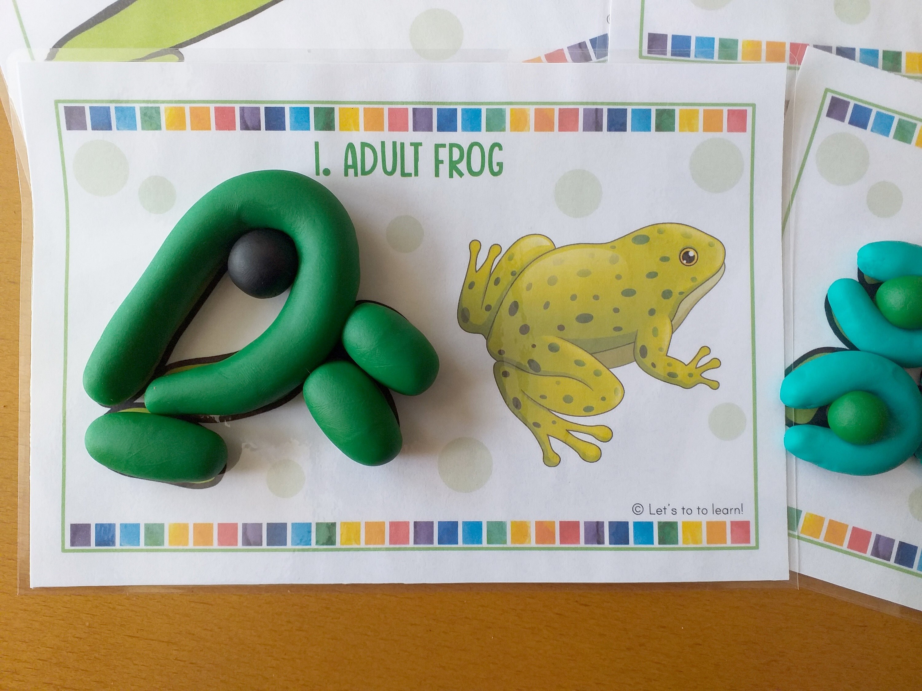 Frog Life Cycle Playdough Mats, Play Doh Activity, Preschool Game, Pre ...