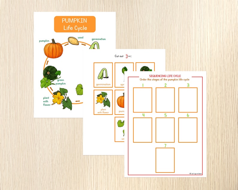 Pumpkin Unit Study Parts Life Cycle Varieties Worksheets - Etsy