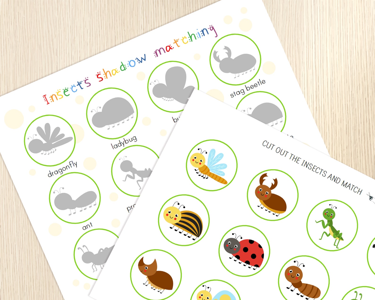 Insects Matching Game - Shadow Matching Activity - Toddler, Preschool ...