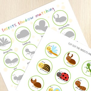 Insects Matching Game - Shadow Matching Activity - Toddler, Preschool ...