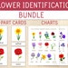 Flower 3-part Cards and Posters 40 Nomenclature Cards 3 - Etsy