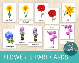 Emotions-Émotions English-french Printable Poster Bilingual - Etsy