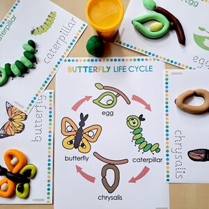 Butterfly Life Cycle Playdough Mats, Play Doh Activity, Preschool Game ...