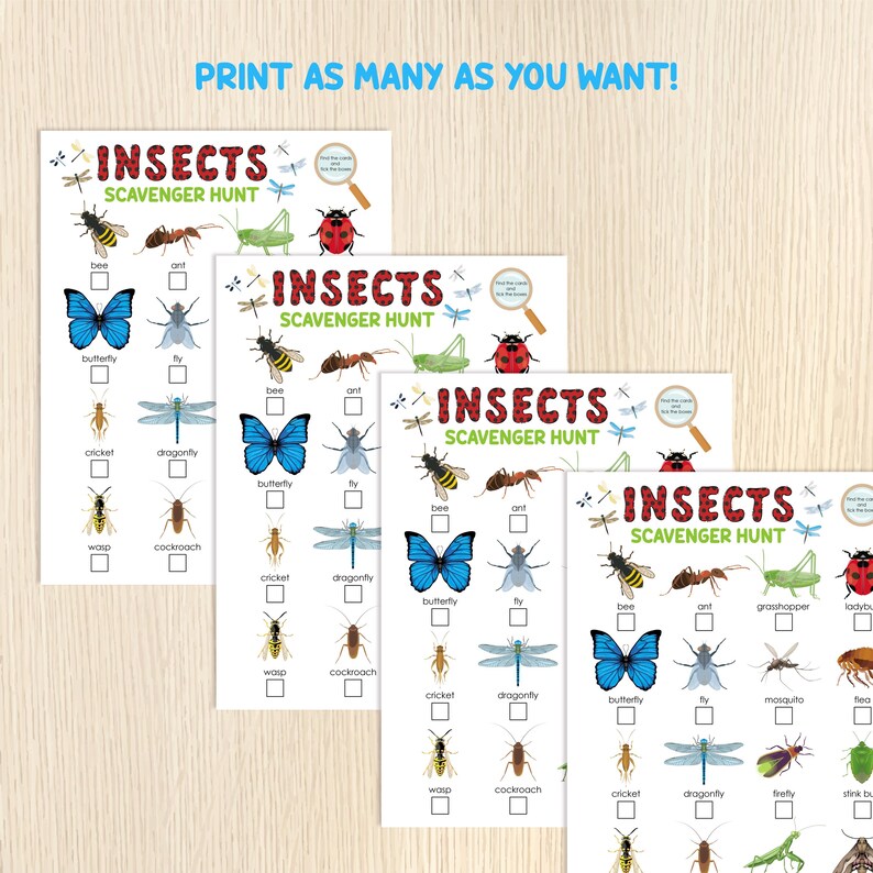 Insects Scavenger Hunt With Cards - Indoor Outdoor Bugs Treasure Hunt ...