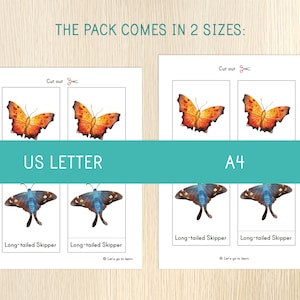 Butterfly 3-parts Cards, Montessori Nomenclature Cards, Flashcards ...