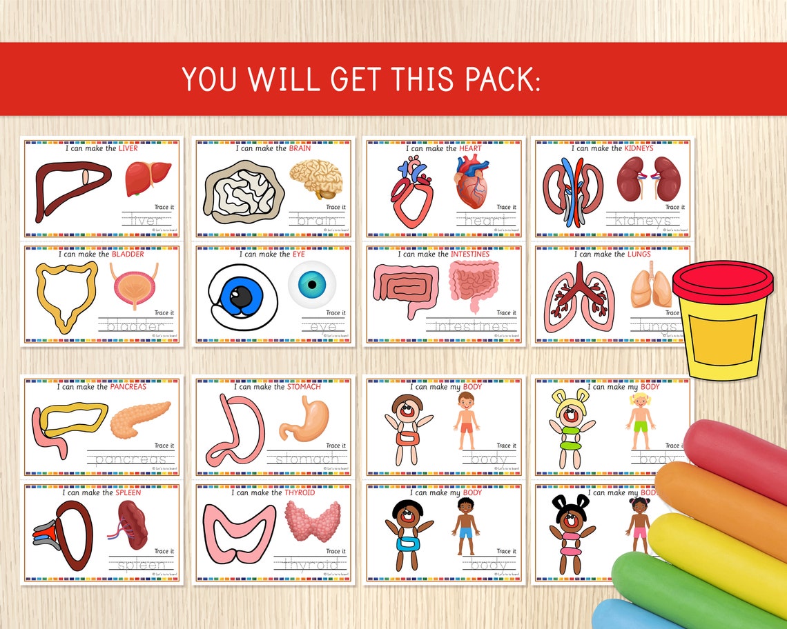Body Organs Playdough Mats Play Doh Preschool Game - Etsy