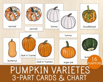 Pumpkin 3 Part Cards - Etsy