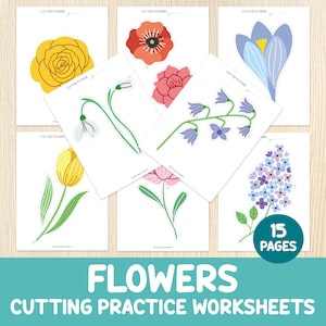 Flowers Cutting Practice Worksheets, Spring Activity, Preschool ...