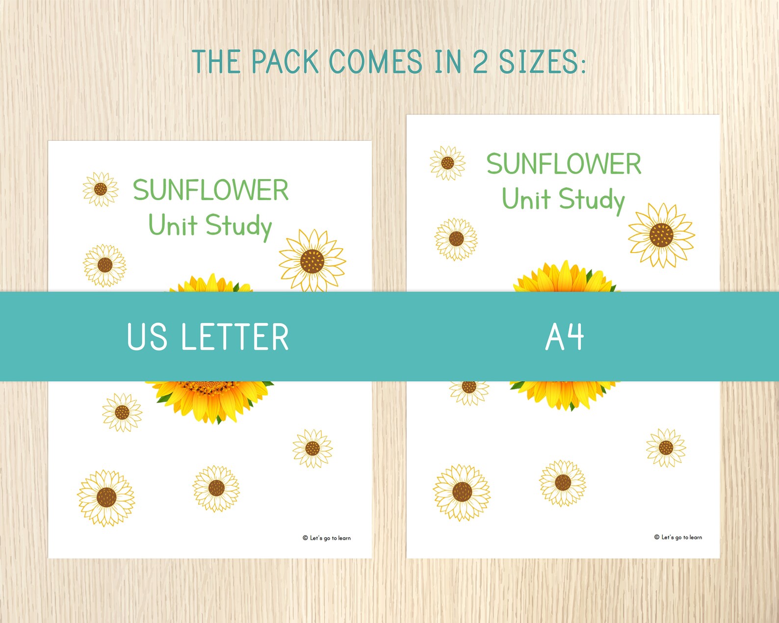 Sunflower Unit Study Anatomy Life Cycle 3 Part-cards - Etsy