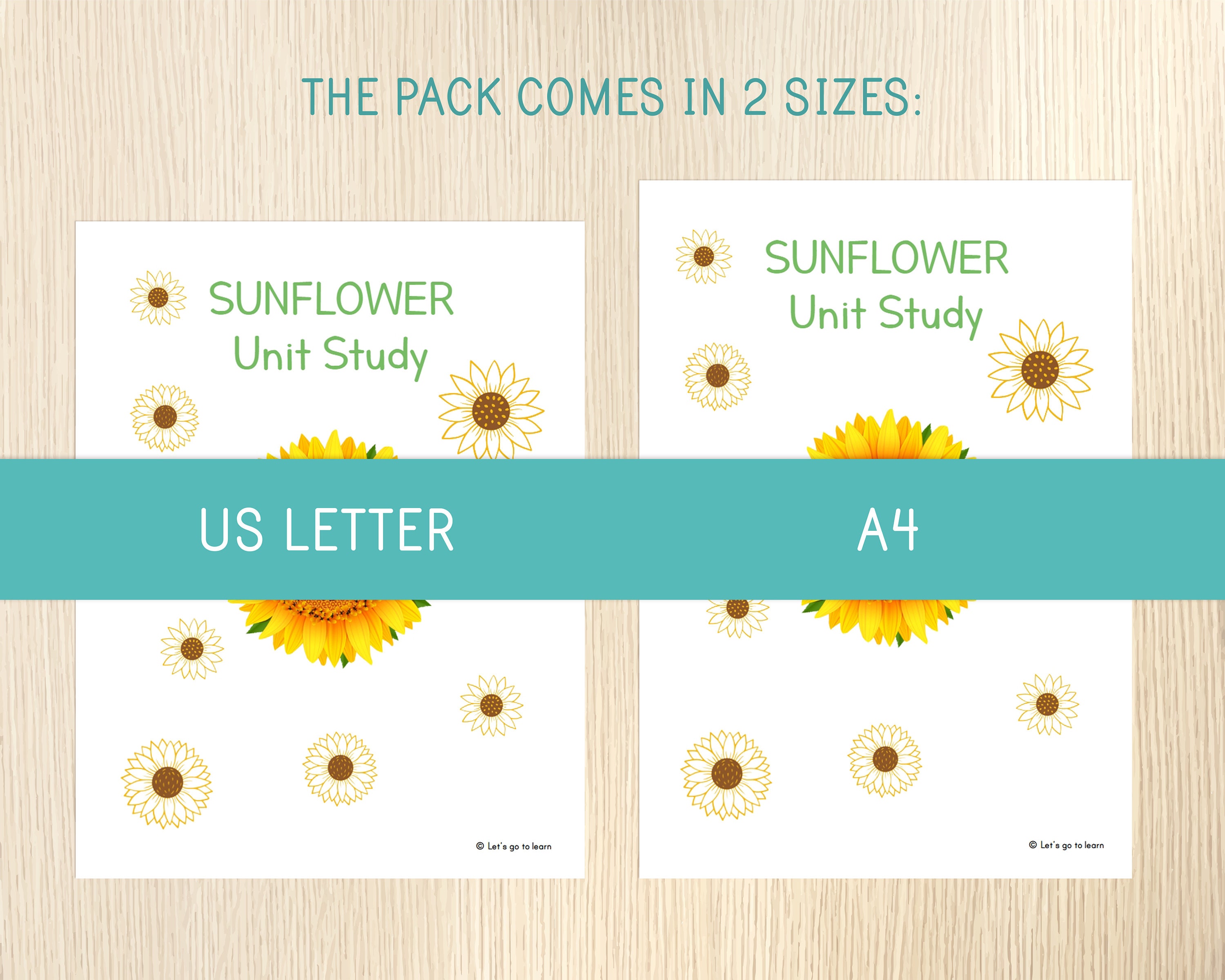 Sunflower Unit Study Anatomy Life Cycle 3 Part-cards - Etsy