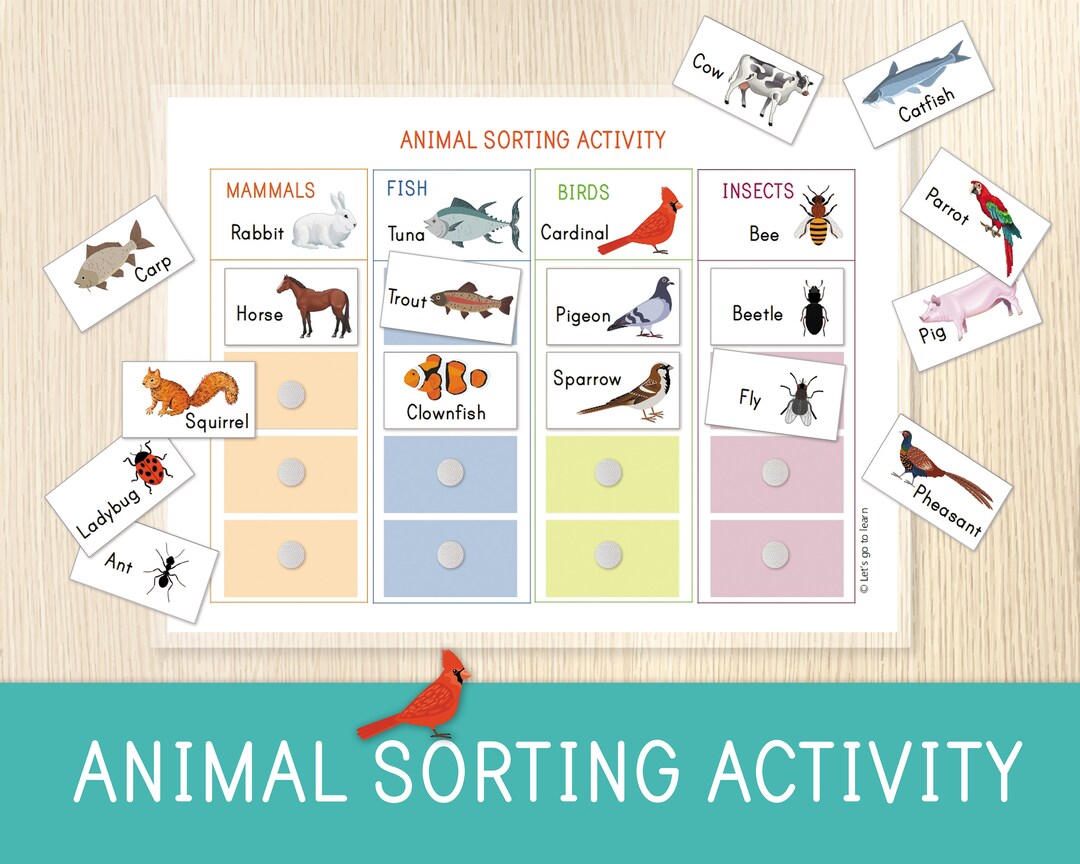 Sorting Activity for Preschool & Kindergarten - Animals Worksheet for ...