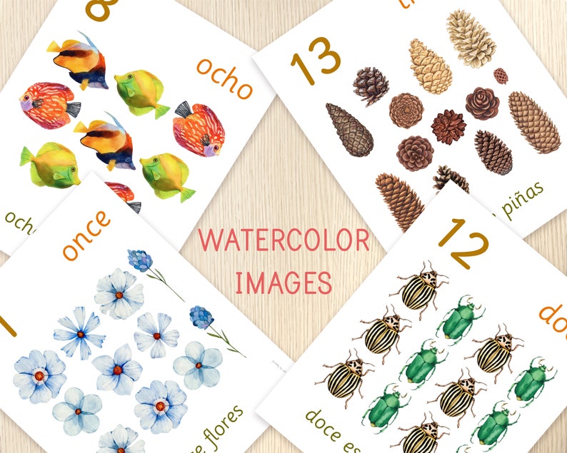 Spanish Nature Number Posters Charts or Cards 1 to 20 - Etsy