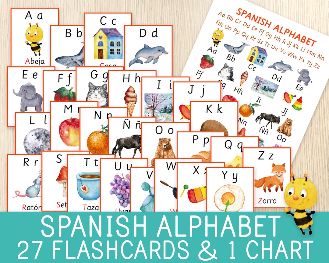 Spanish Alphabet Flashcards & Chart, 27 Cards, 1 Poster, Learn Spanish ...