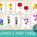 Flower 3-part Cards and Posters 40 Nomenclature Cards 3 - Etsy