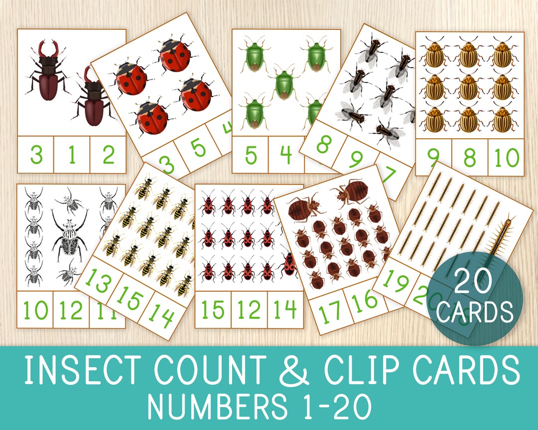 Insect Count & Clip Cards - Numbers 1-20 - Counting Flashcards ...