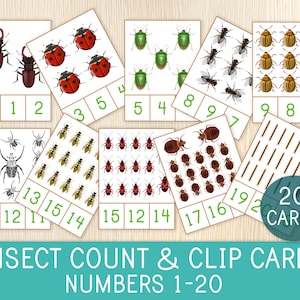 Insect Count & Clip Cards - Numbers 1-20 - Counting Flashcards ...