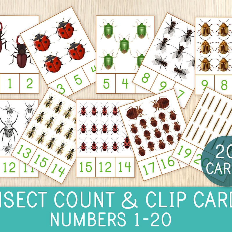 Insect Game Ideas - Etsy