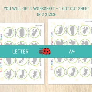 Insects Matching Game - Shadow Matching Activity - Toddler, Preschool ...