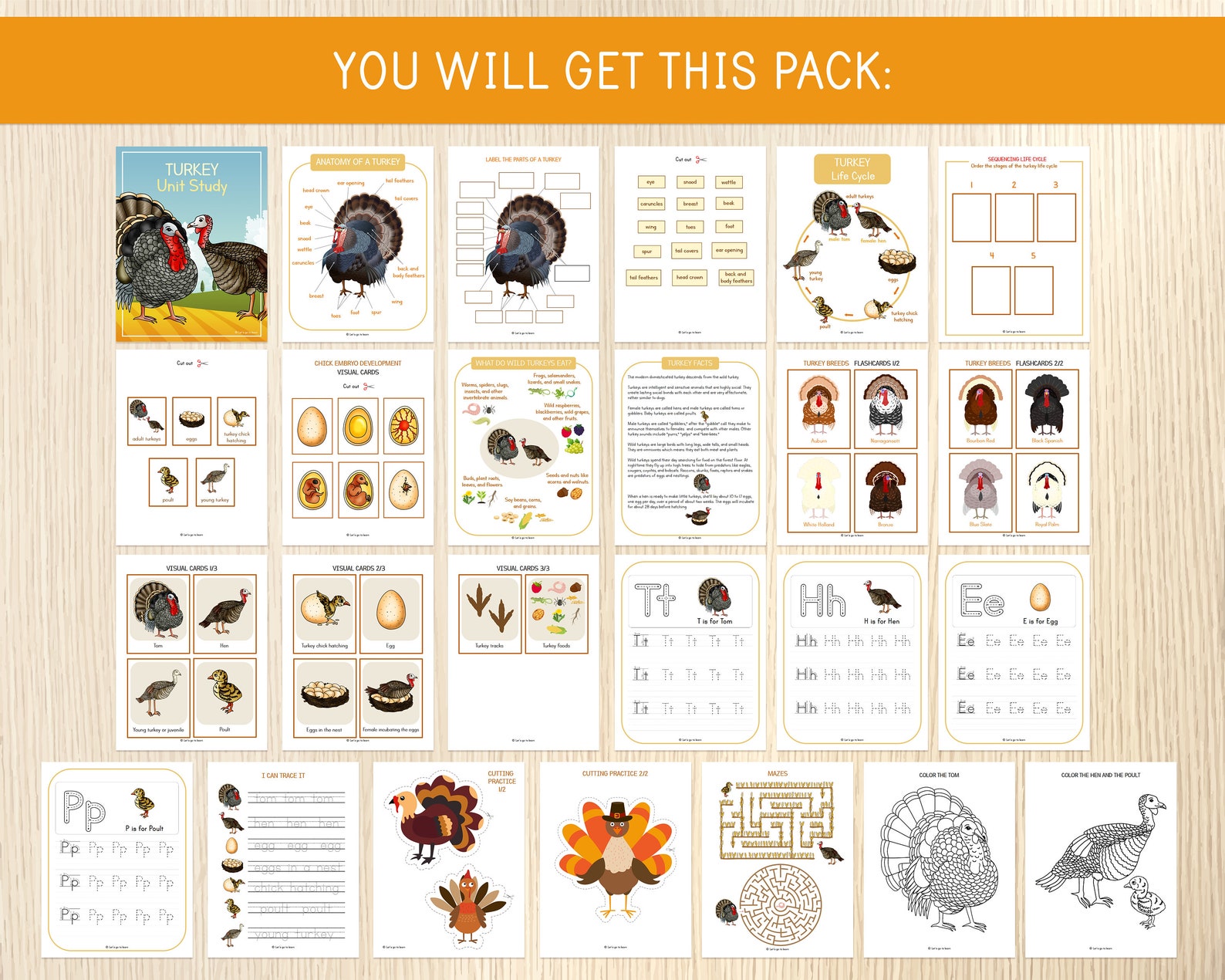 Turkey Unit Study, Anatomy, Life Cycle, Flashcards, Breeds, Worksheets ...