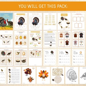 Turkey Unit Study, Anatomy, Life Cycle, Flashcards, Breeds, Worksheets ...