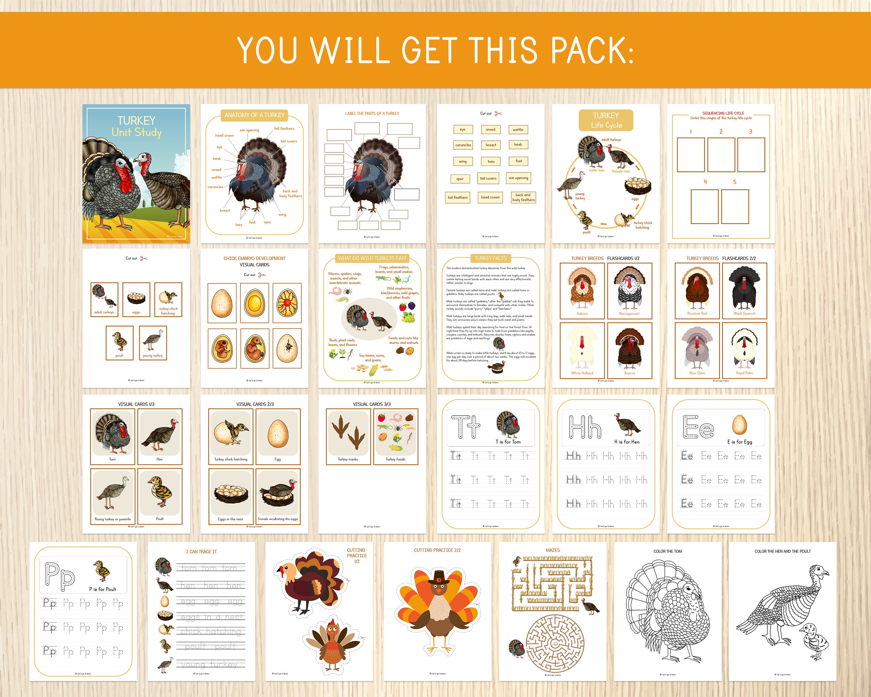 Turkey Unit Study, Anatomy, Life Cycle, Flashcards, Breeds, Worksheets ...