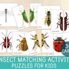 Fruit Puzzles, Matching Cards, Symmetry, Montessori Activity, Toddler ...