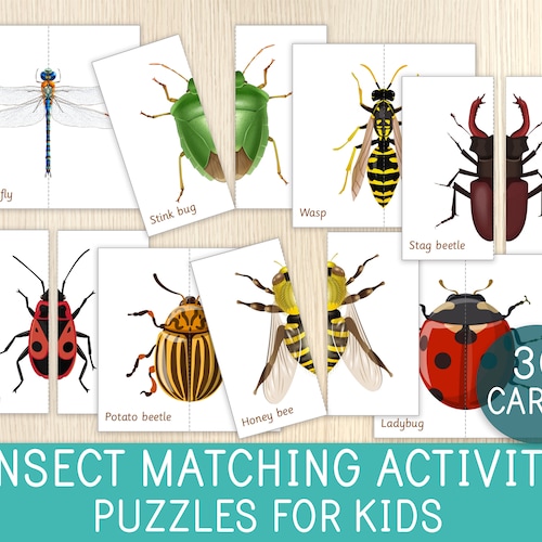 Flower Symmetry Puzzles Matching Cards Toddler Preschool | Etsy