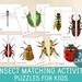 Insect Matching Activity 30 Insect Puzzles Symmetry Kids | Etsy
