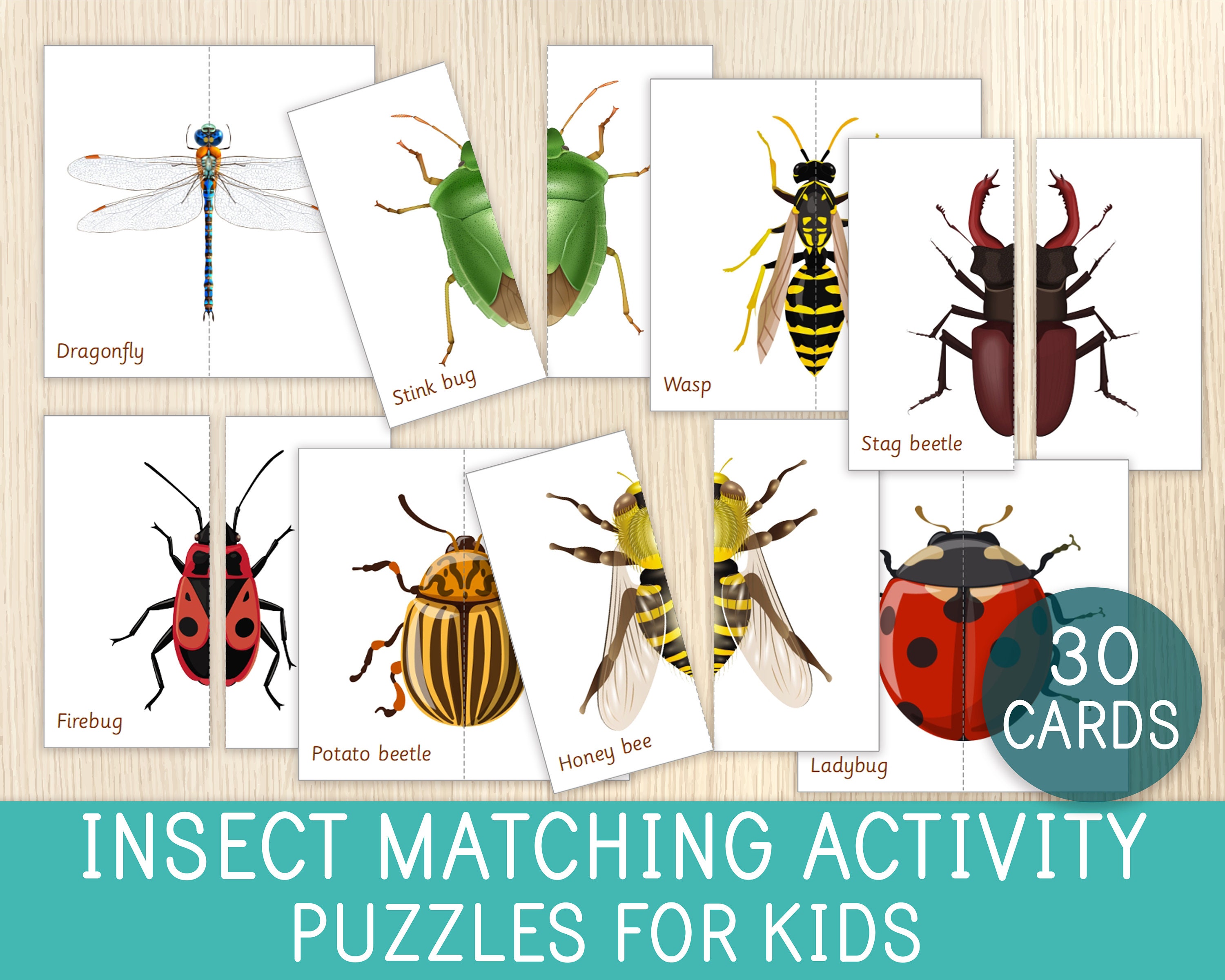 Insect Matching Activity 30 Insect Puzzles Symmetry Kids | Etsy