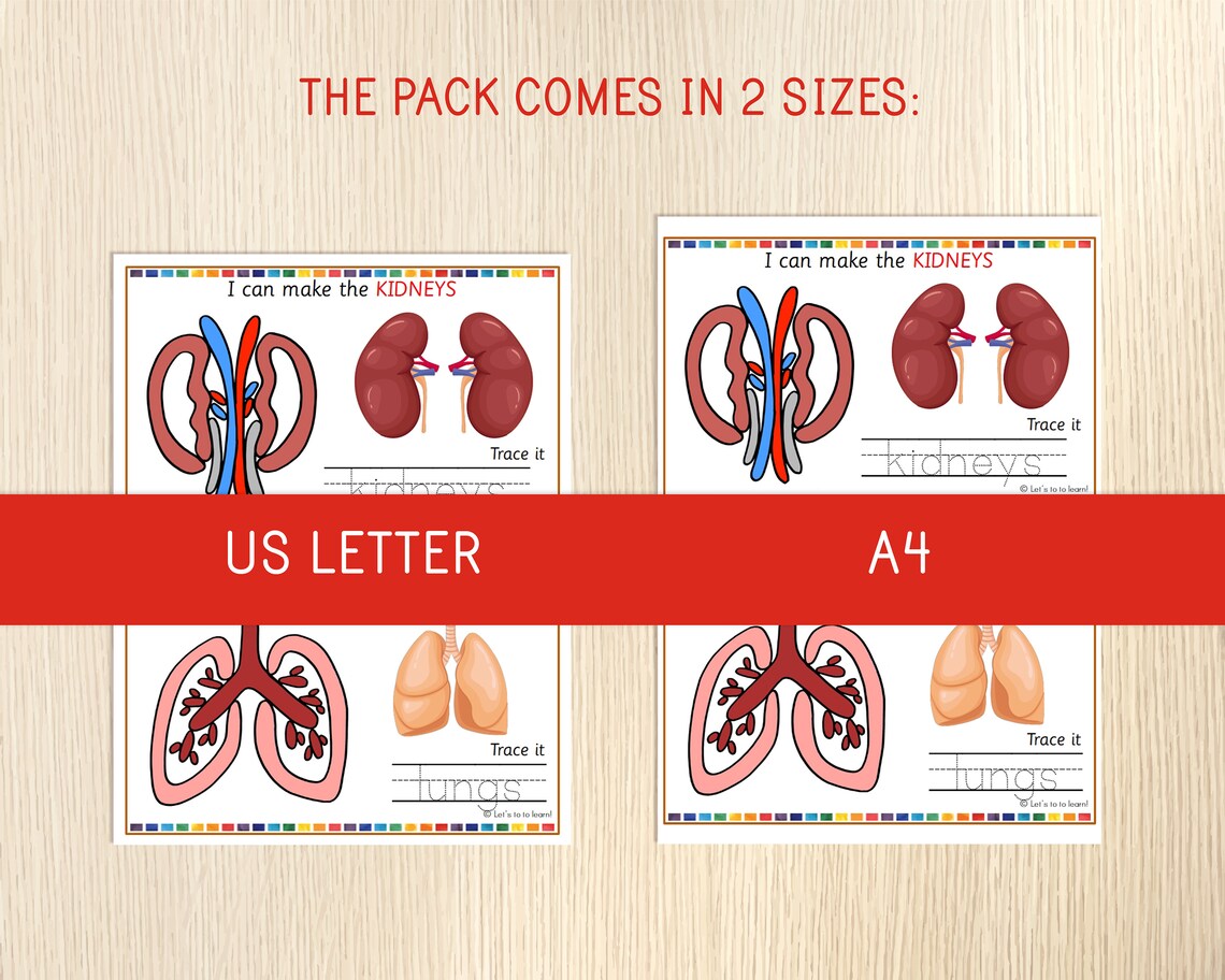 Body Organs Playdough Mats Play Doh Preschool Game - Etsy