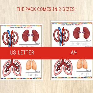 Body Organs Playdough Mats, Play Doh, Preschool Game, Kindergarten ...