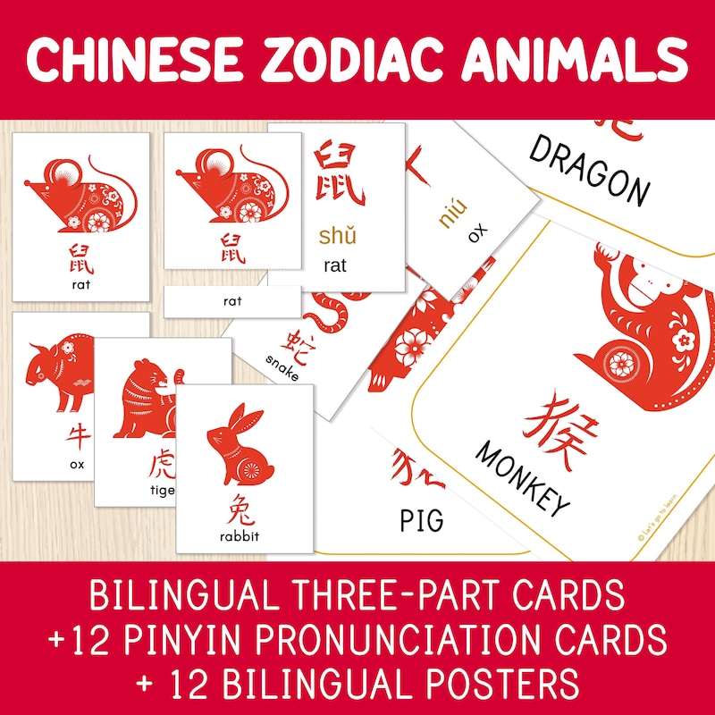 Chinese English Montessori - Etsy