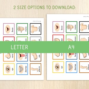 Body Parts Matching Activity IN SPANISH, Human Body, Toddler Busy Book ...