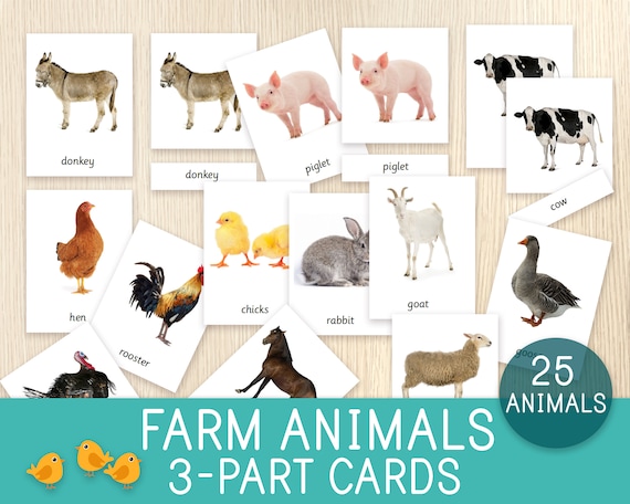 Farm Animals 3-part Cards 25 Animals Flashcards - Etsy