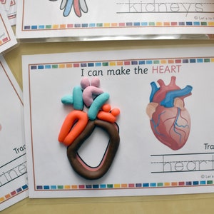 Body Organs Playdough Mats, Play Doh, Preschool Game, Kindergarten ...