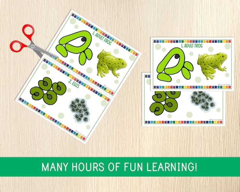 Frog Life Cycle Playdough Mats Play Doh Activity Preschool - Etsy