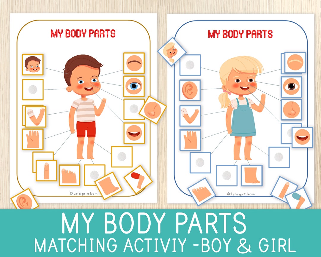 Body Parts Matching Activity - Human Body Game - Toddler & Preschool ...
