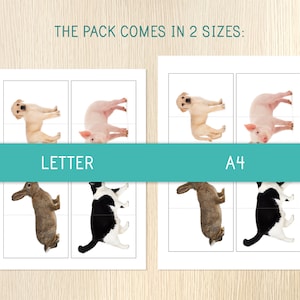 Animal Puzzles Matching Cards Symmetry Montessori Activity - Etsy