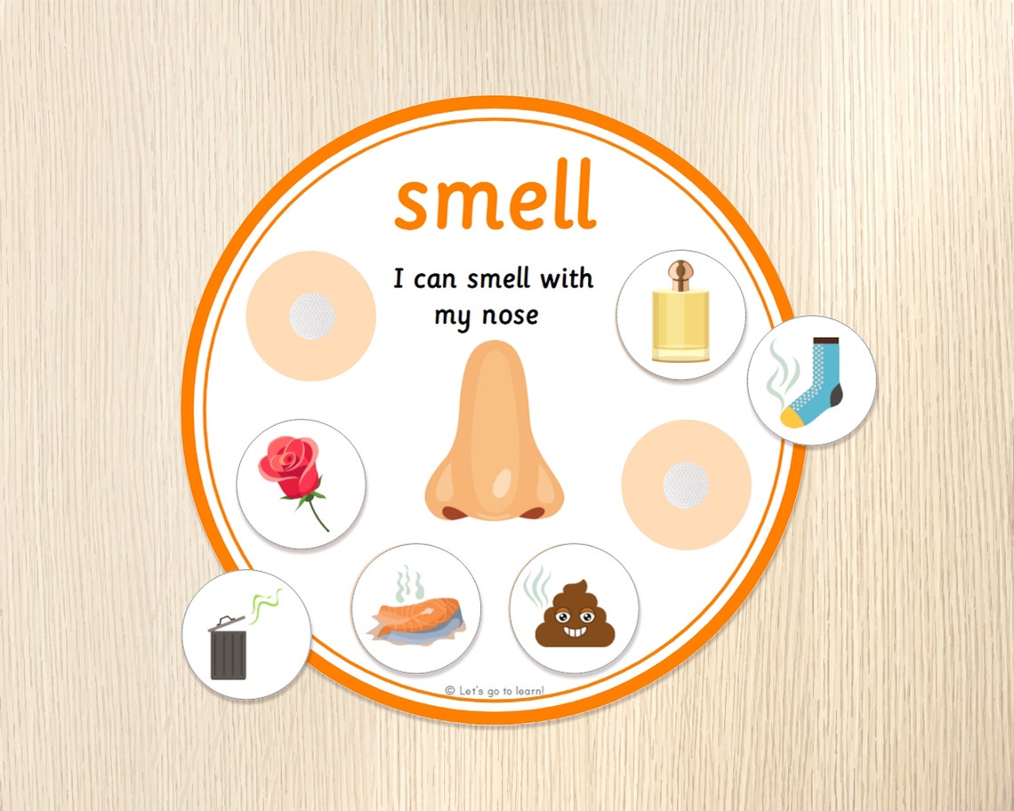 Five Senses Sorting Activity, 5 Senses Classification Game, Preschool ...