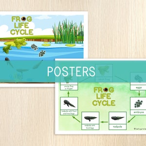 Life Cycle of a Frog, Posters, 3-part Cards, Worksheets, Writing ...