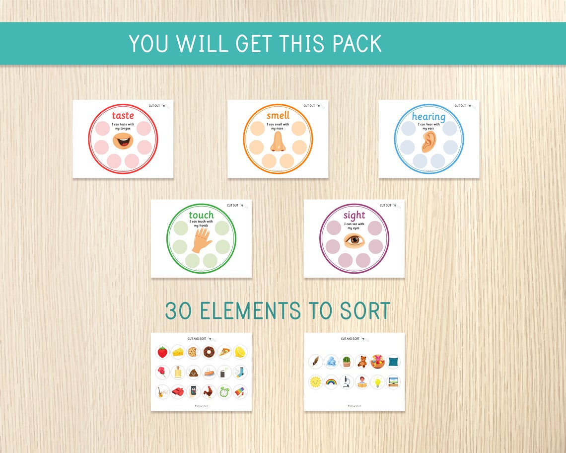 Five Senses Sorting Activity 5 Senses Classification Game - Etsy