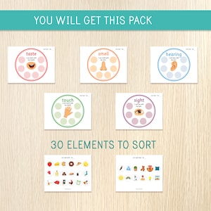Five Senses Sorting Activity, 5 Senses Classification Game, Preschool ...
