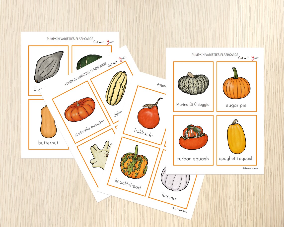 Pumpkin Unit Study Parts Life Cycle Varieties Worksheets - Etsy