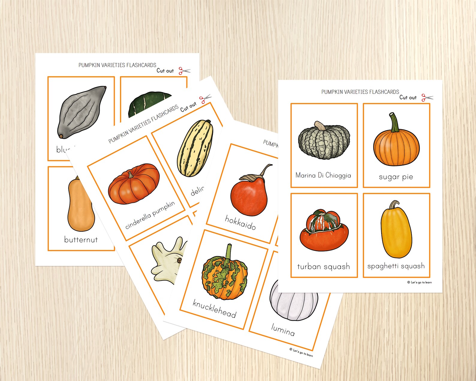 Pumpkin Unit Study Parts Life Cycle Varieties Worksheets - Etsy