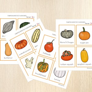 Pumpkin Unit Study, Parts, Life Cycle, Varieties, Worksheets, Fall ...